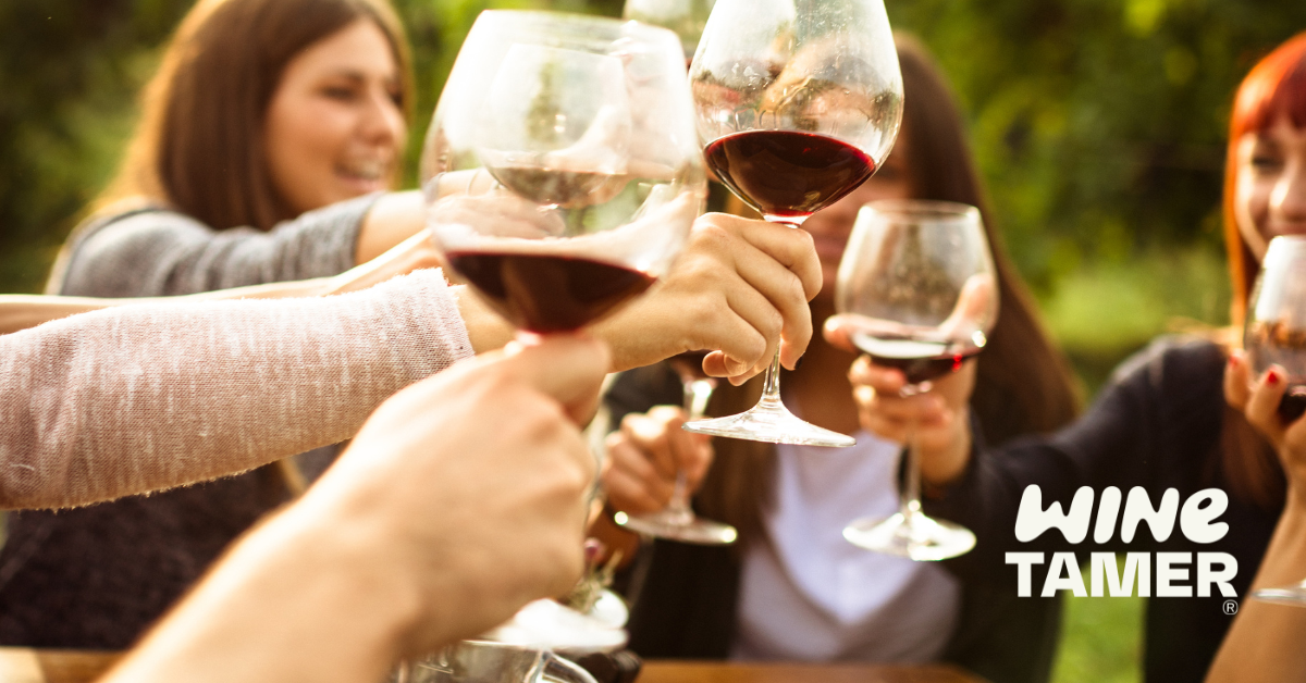 How to Drink Wine Without Acid Reflux | Wine Acidity Guide